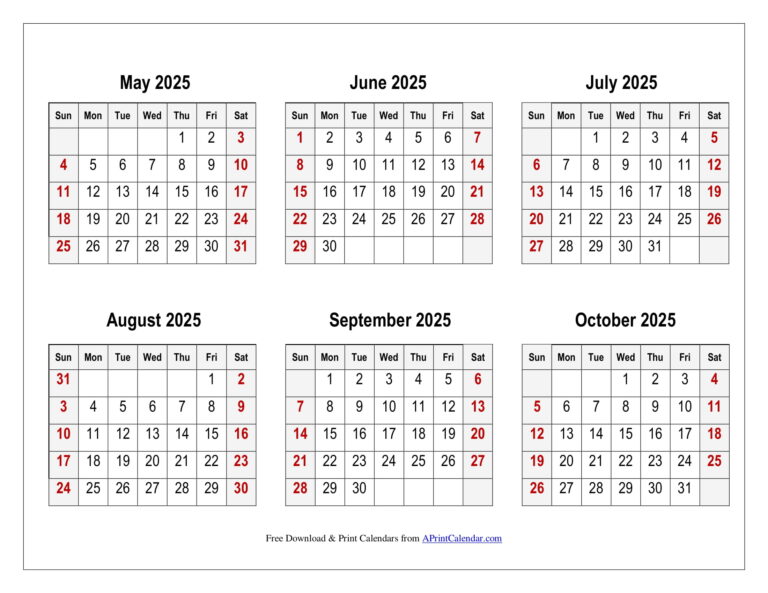 2025 Six Months Calendar Printable PDF Templates